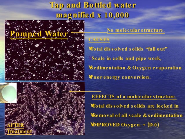 Bio Disc Teaching | PPT