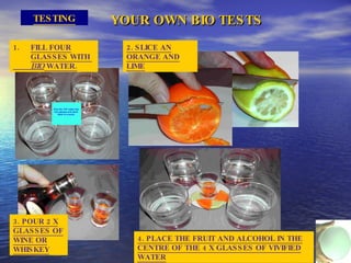 Bio Disc Teaching | PPT