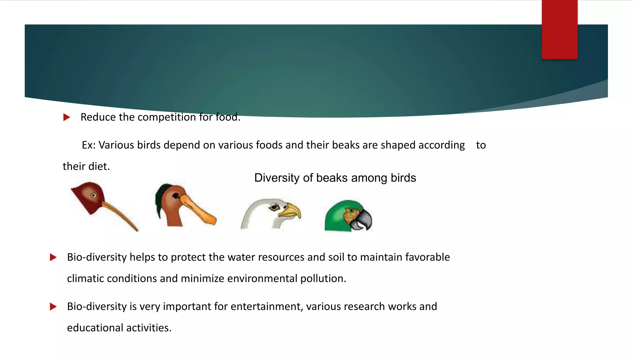 Bio-diversity grade 9.pptx