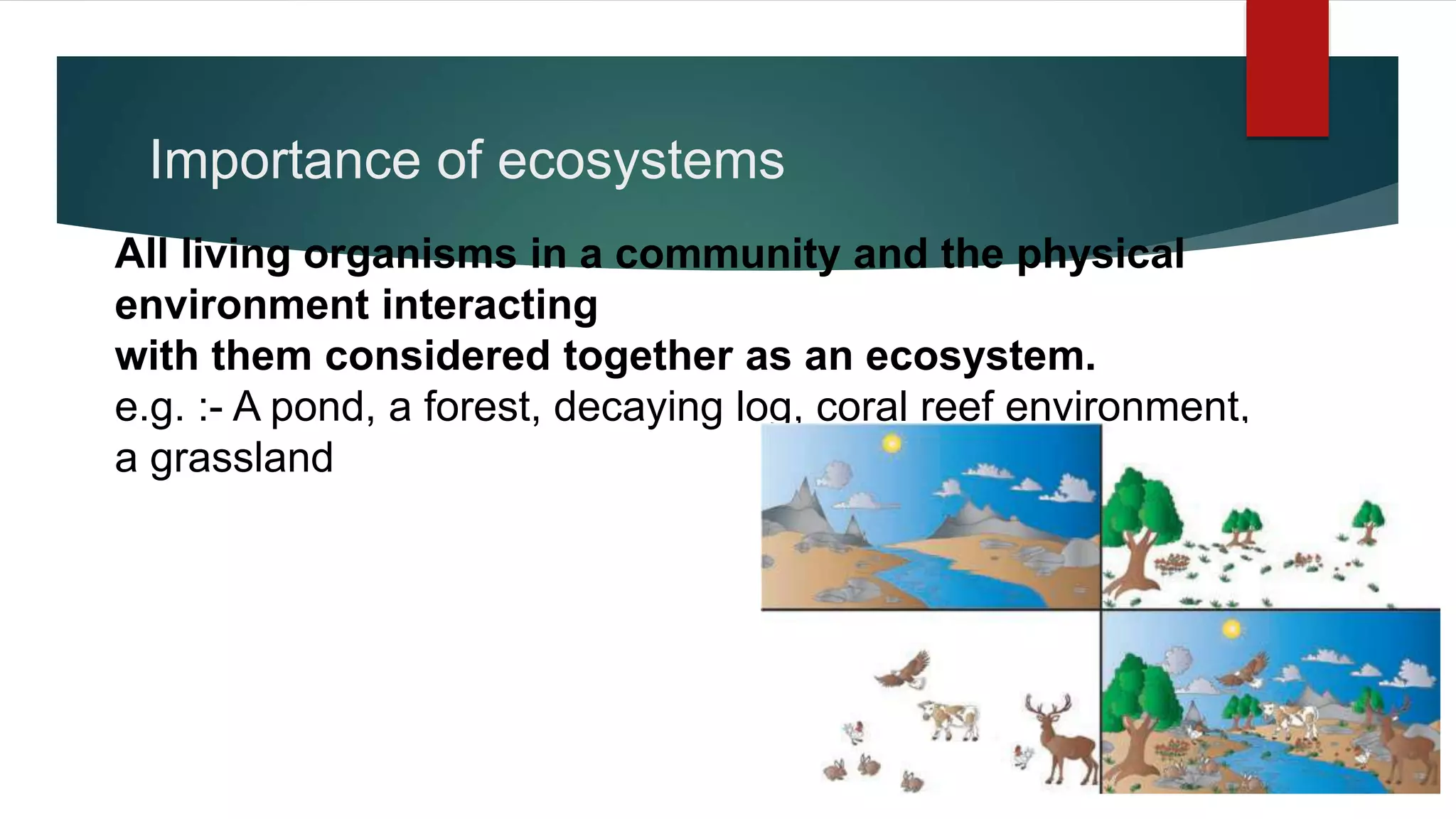 Bio-diversity grade 9.pptx