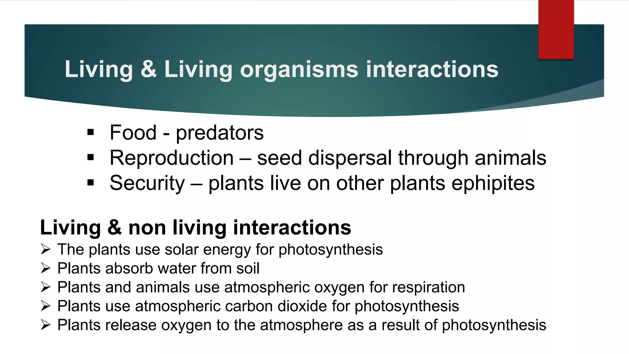 Bio-diversity grade 9.pptx