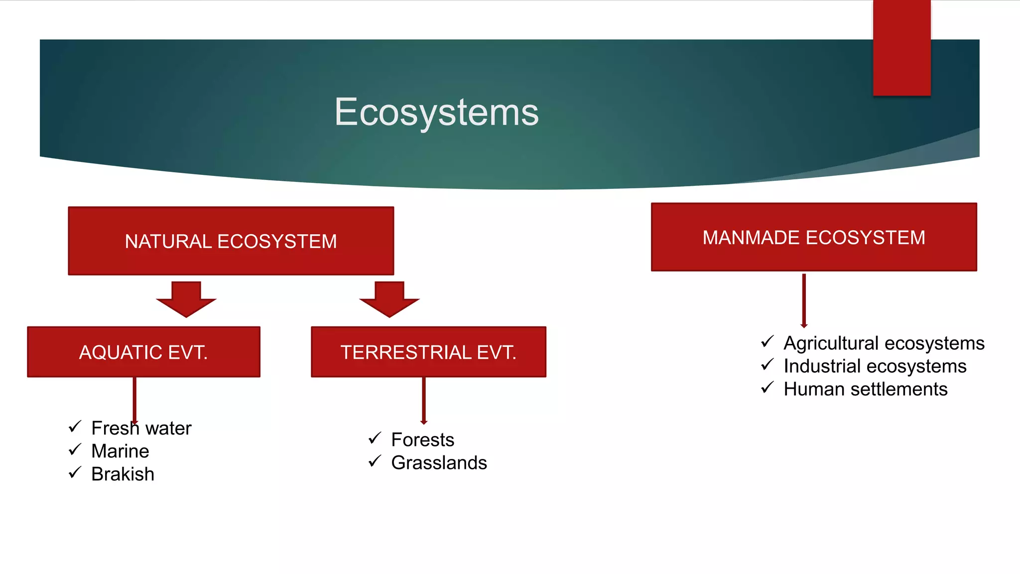 Bio-diversity grade 9.pptx