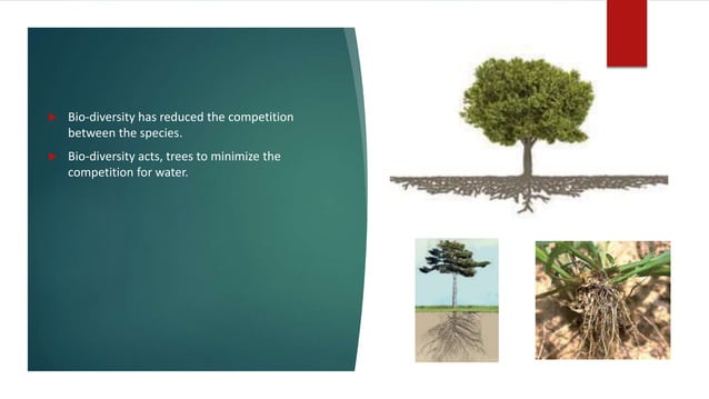 Bio-diversity grade 9.pptx