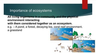 Bio-diversity grade 9.pptx
