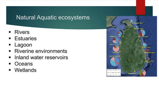 Bio-diversity grade 9.pptx