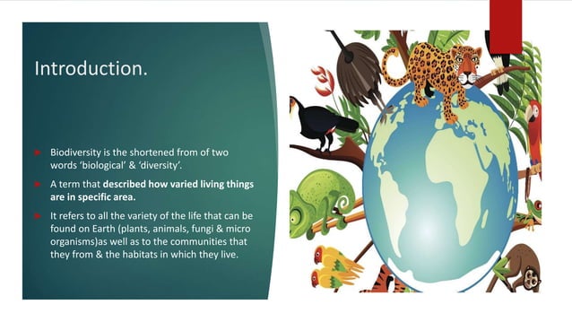 Bio-diversity grade 9.pptx