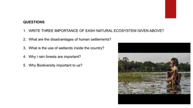 Bio-diversity grade 9.pptx