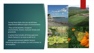 Bio-diversity grade 9.pptx