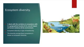 Bio-diversity grade 9.pptx