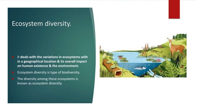 Bio-diversity grade 9.pptx