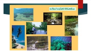 Bio-diversity grade 9.pptx