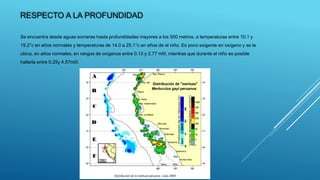 BIO-ECOLOGIA DE LA MERLUZA PERUANA.pptx