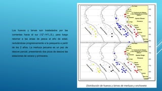BIO-ECOLOGIA DE LA MERLUZA PERUANA.pptx