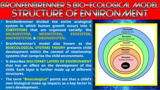 Comprehensive Overview of Bronfenbrenner's Bioecological Systems Theory ...