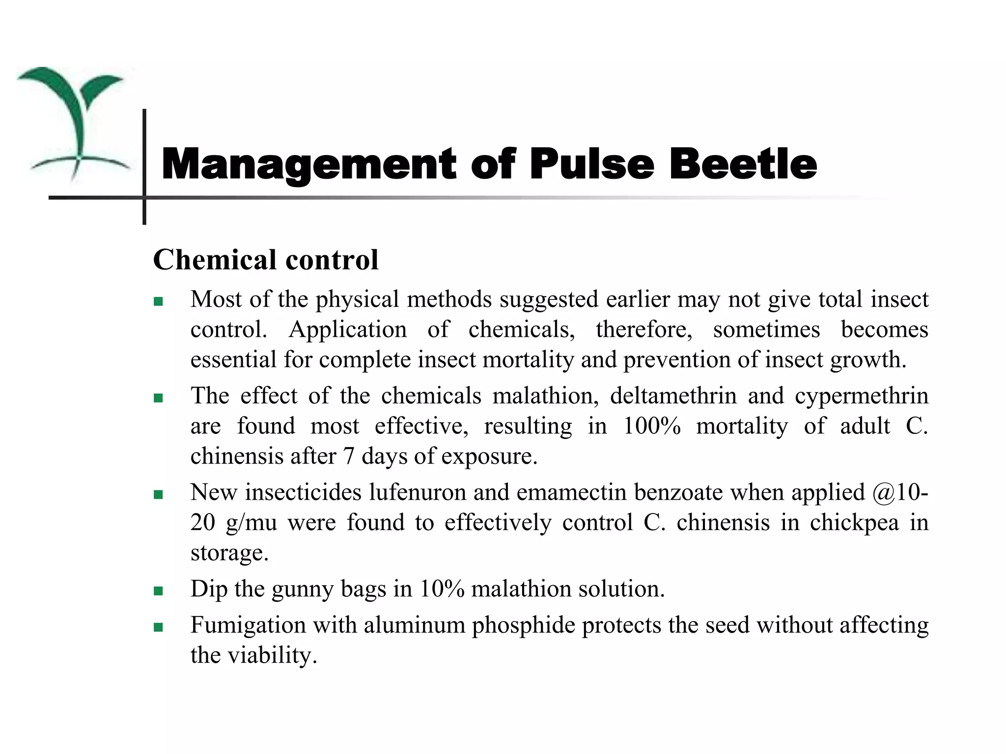 Bio ecology and management of pulse beetle | PPT