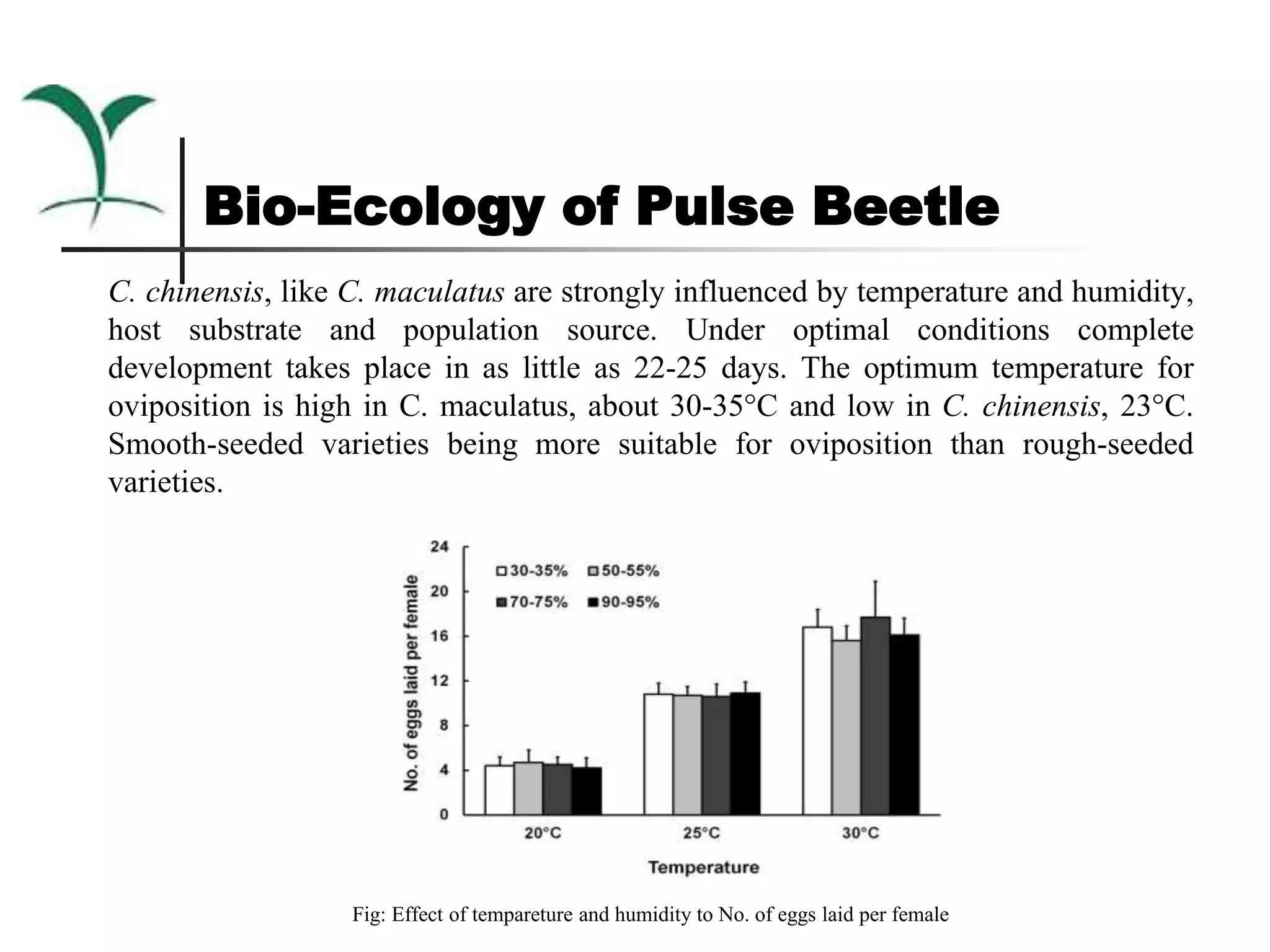 Bio ecology and management of pulse beetle | PPT