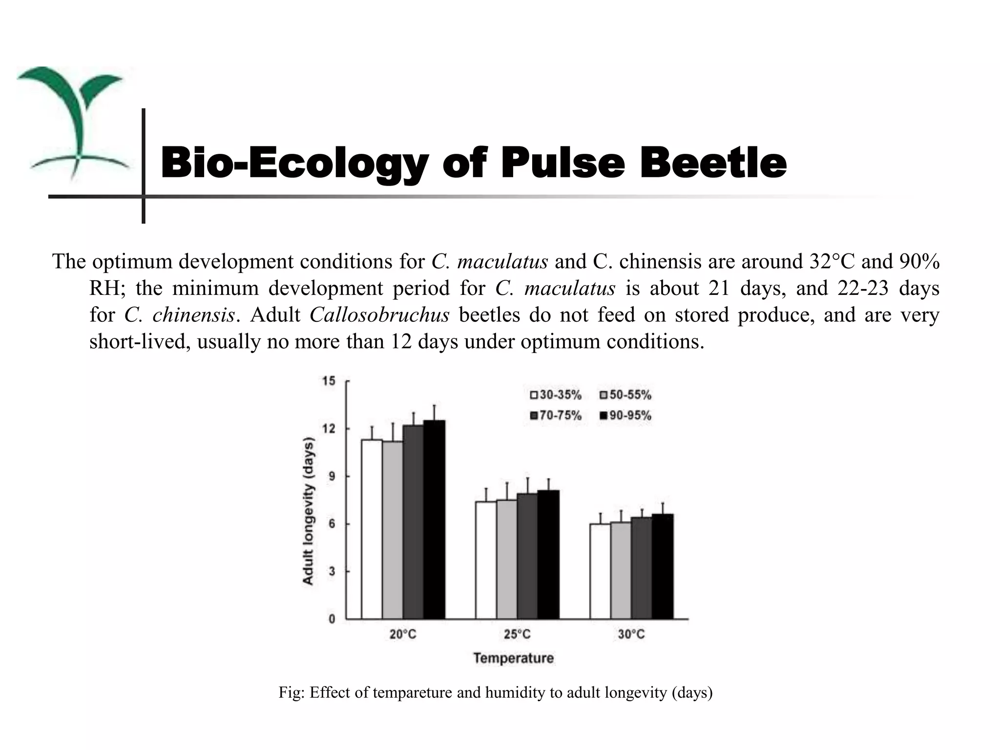 Bio ecology and management of pulse beetle | PPT