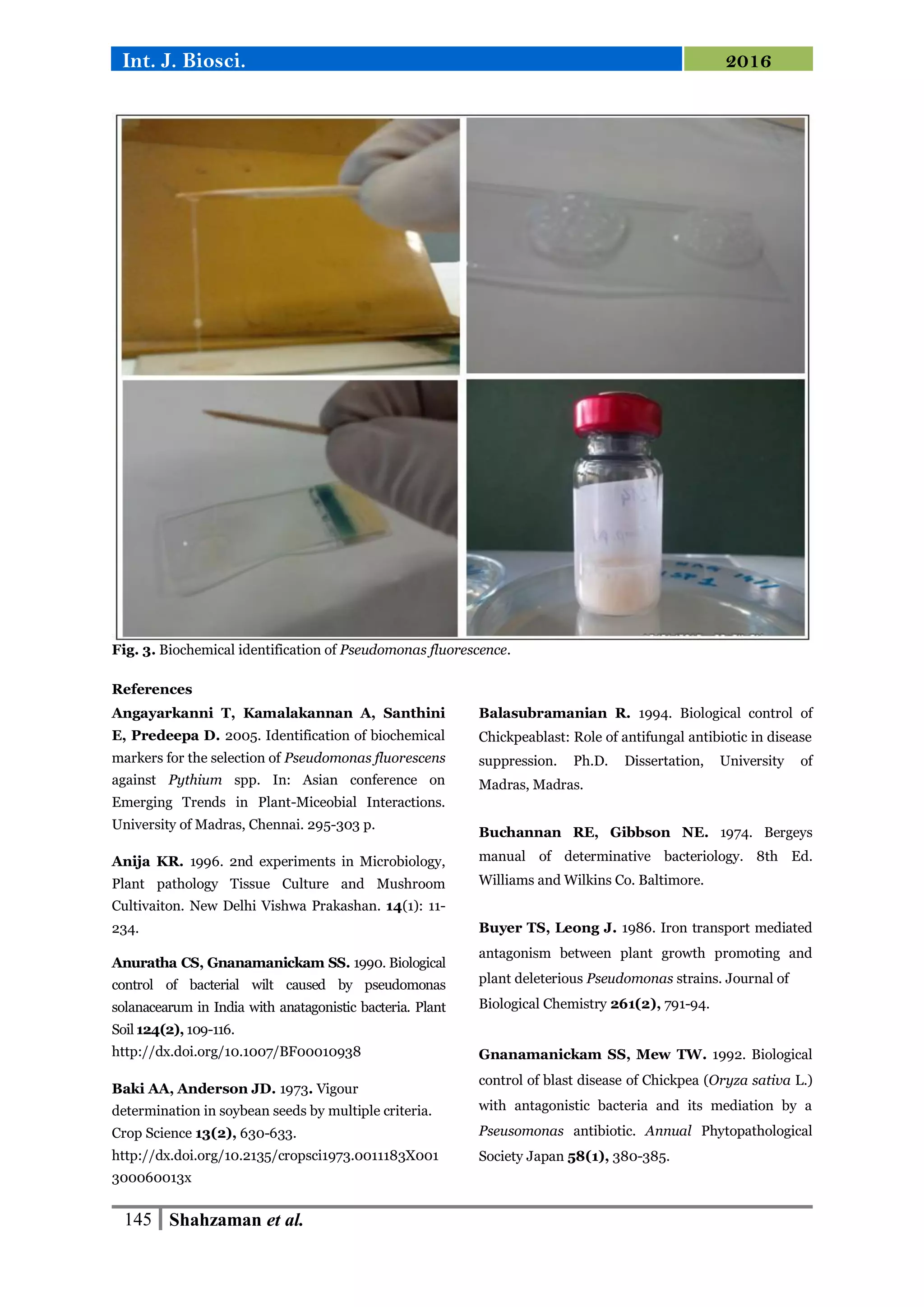 Bio efficacy of pseudomonas fluorescens isolated from chickpea fields ...