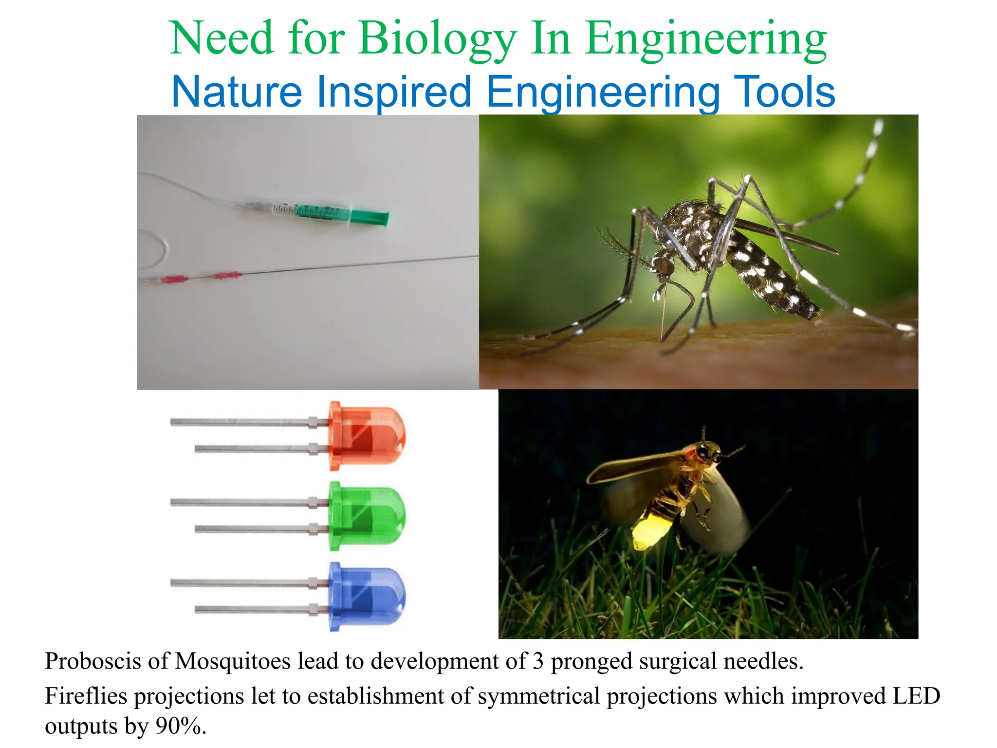 Bio - Engineering- Introduction.ppt.pdf