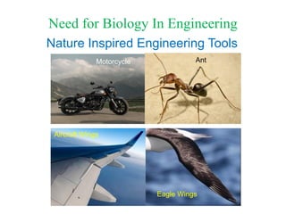 Bio - Engineering- Introduction.ppt.pdf