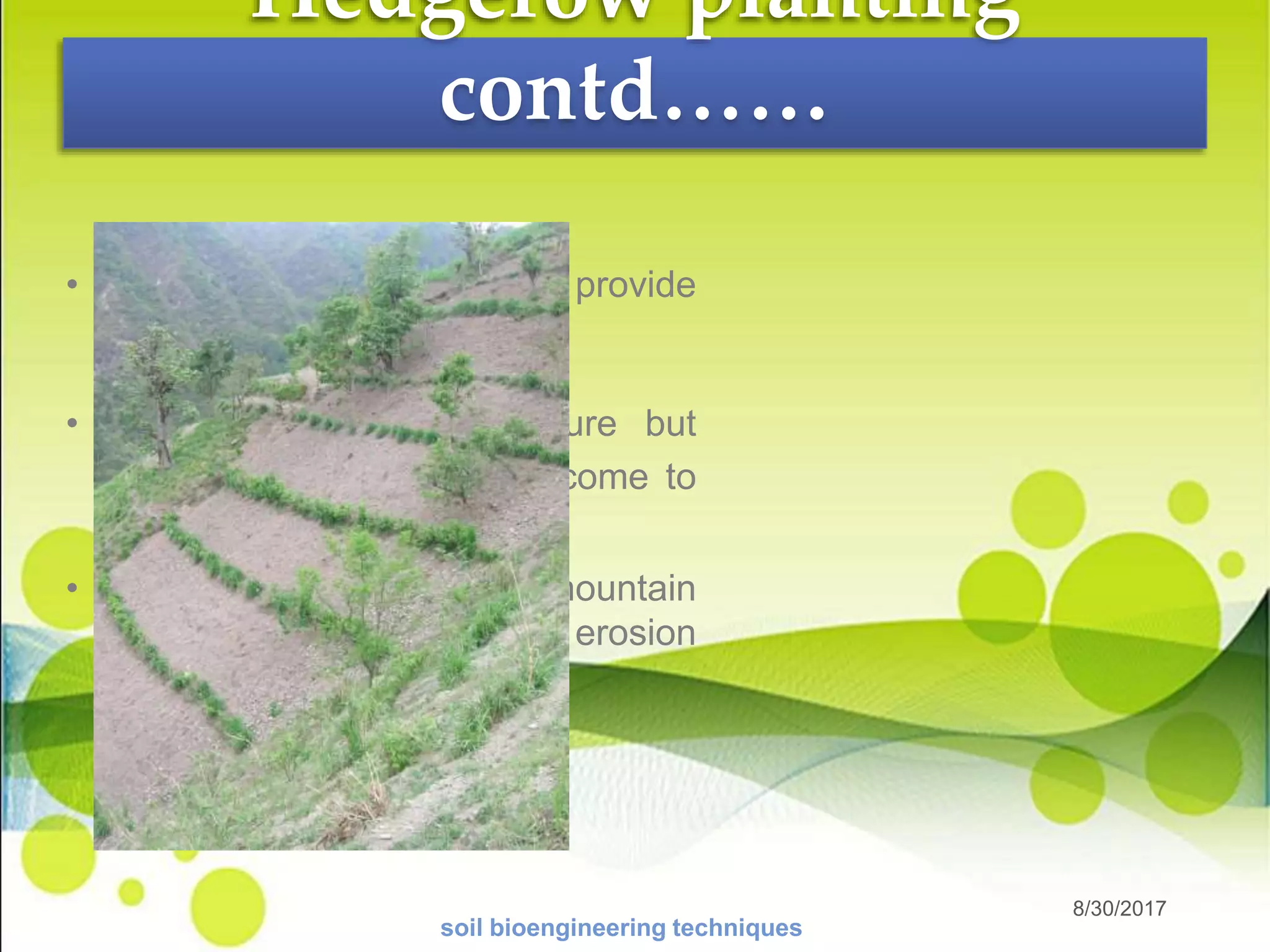 Bio engineering techniques for soil errosion control. | PPTX