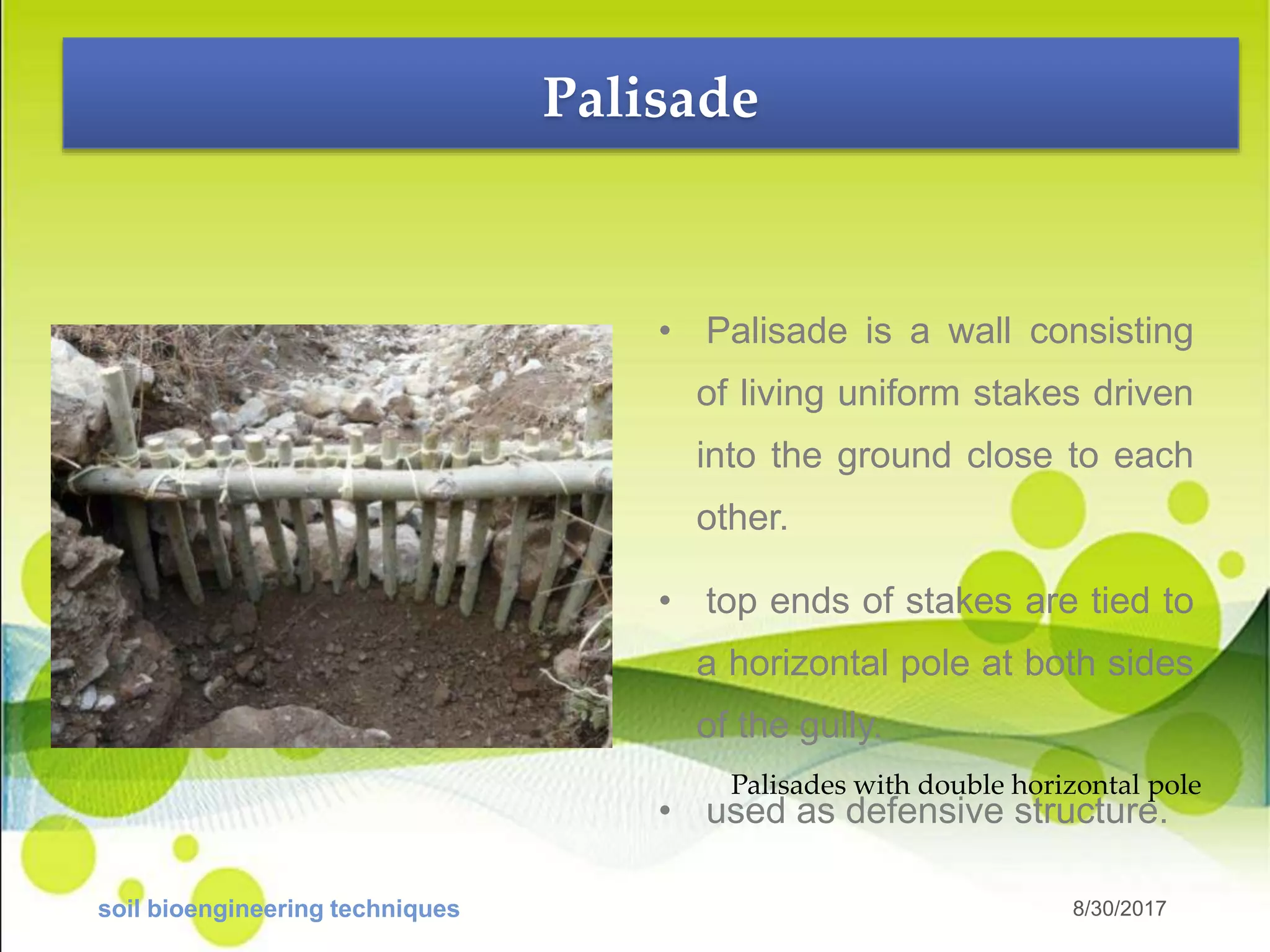 Bio engineering techniques for soil errosion control. | PPTX