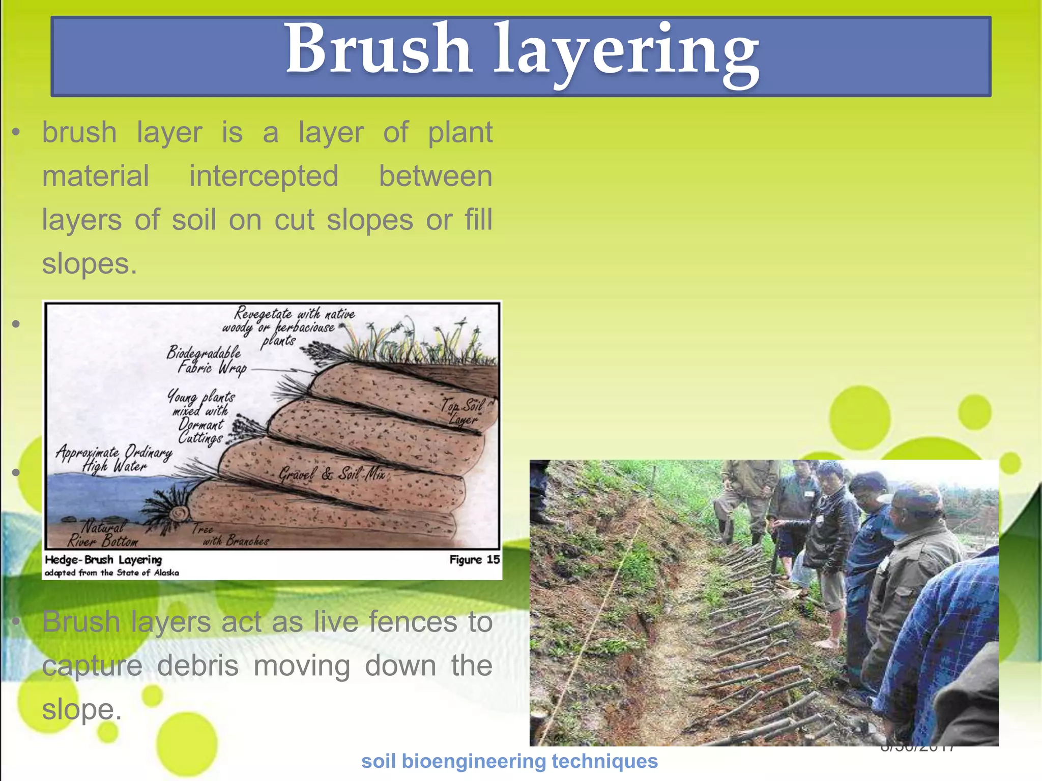Bio engineering techniques for soil errosion control. | PPTX