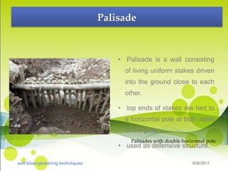 Bio engineering techniques for soil errosion control. | PPTX