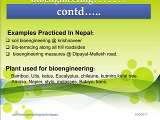 Bio engineering techniques for soil errosion control. | PPTX