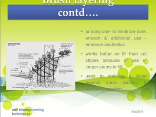 Bio engineering techniques for soil errosion control. | PPTX