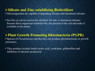 Bio fertilizers | PPT