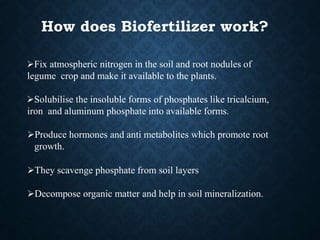 Bio fertilizers | PPT