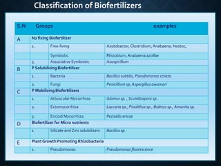 Bio fertilizers | PPT