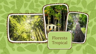 Floresta Tropical | PDF