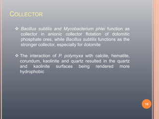 Bio-flotation | PPT