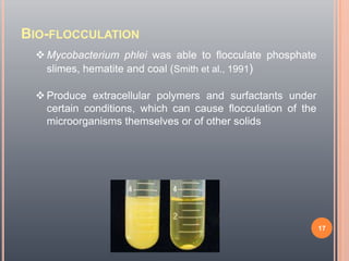 Bio-flotation | PPT