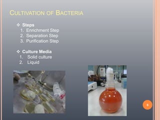 Bio-flotation | PPT