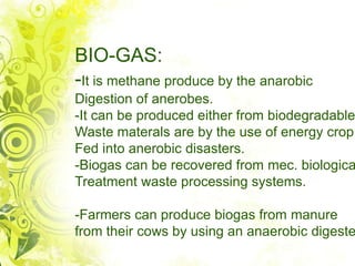 BIO FUEL | PPTX | Agriculture | Industries