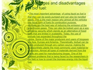 BIO FUEL | PPTX | Agriculture | Industries