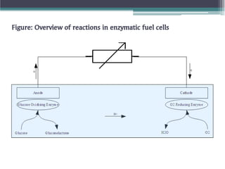 Bio fuel cells | PDF