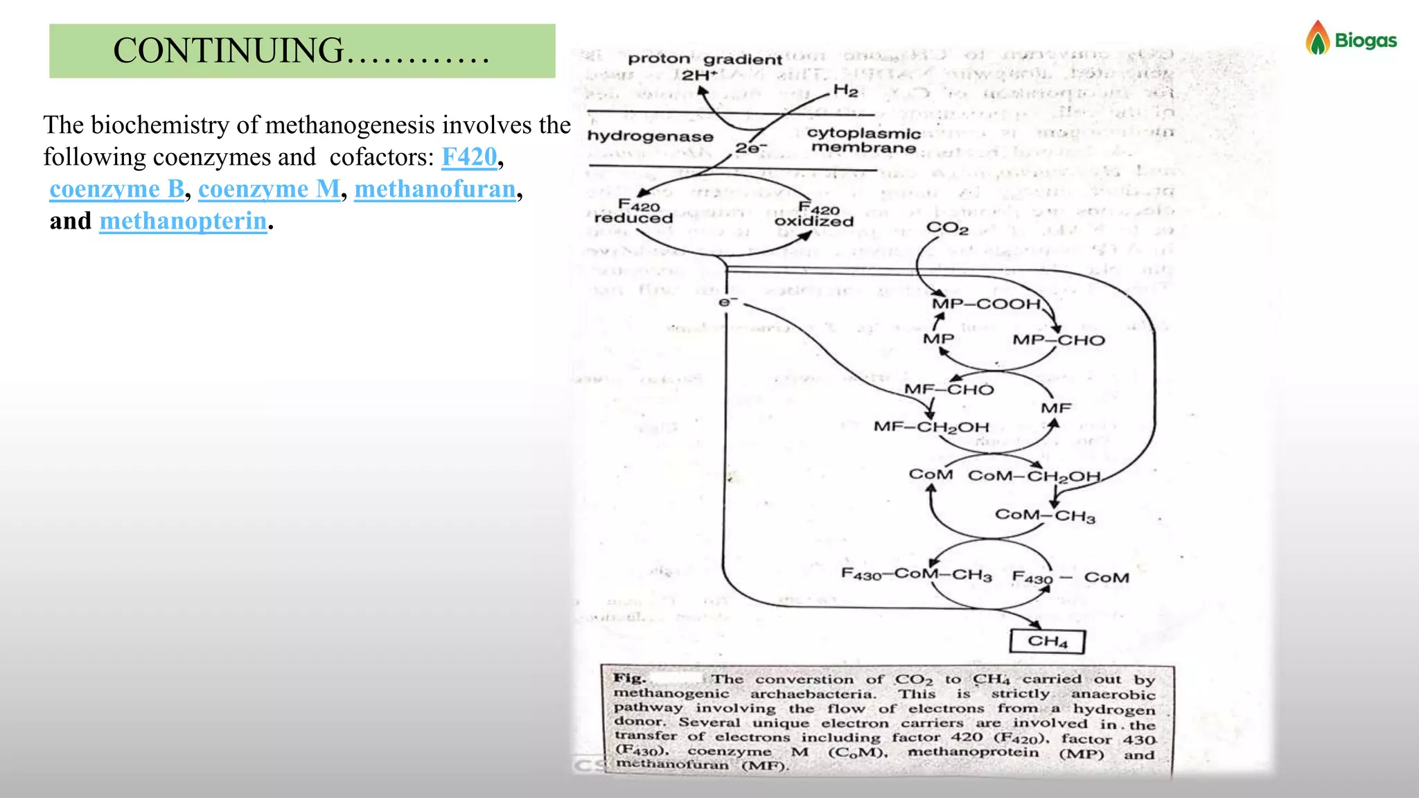 BIOGAS AND MICROBIOLOGY OF ANAEROBIC FERMENTATION. | PPTX