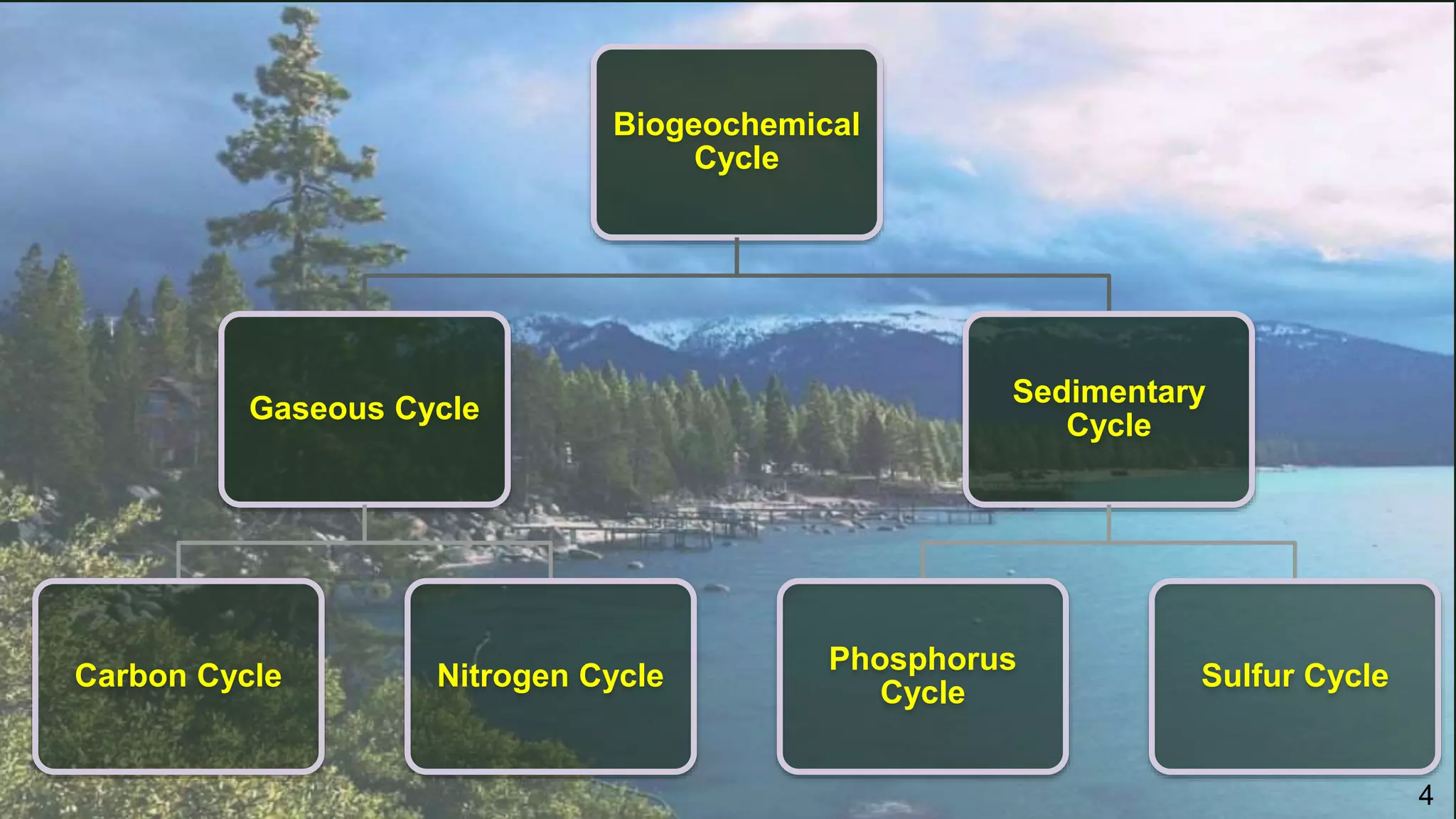 Bio geo-chemical cycles | PPTX