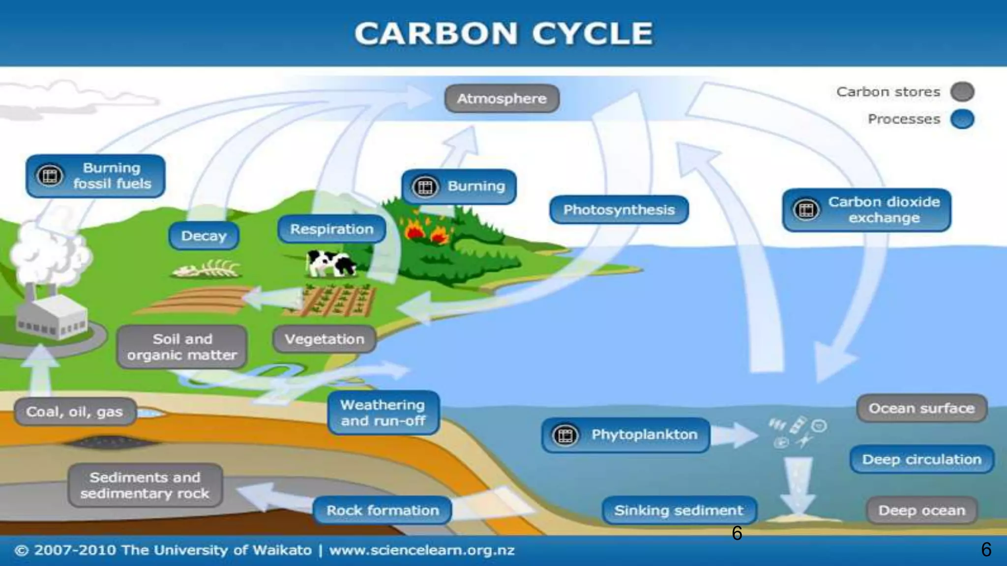 Bio geo-chemical cycles | PPTX