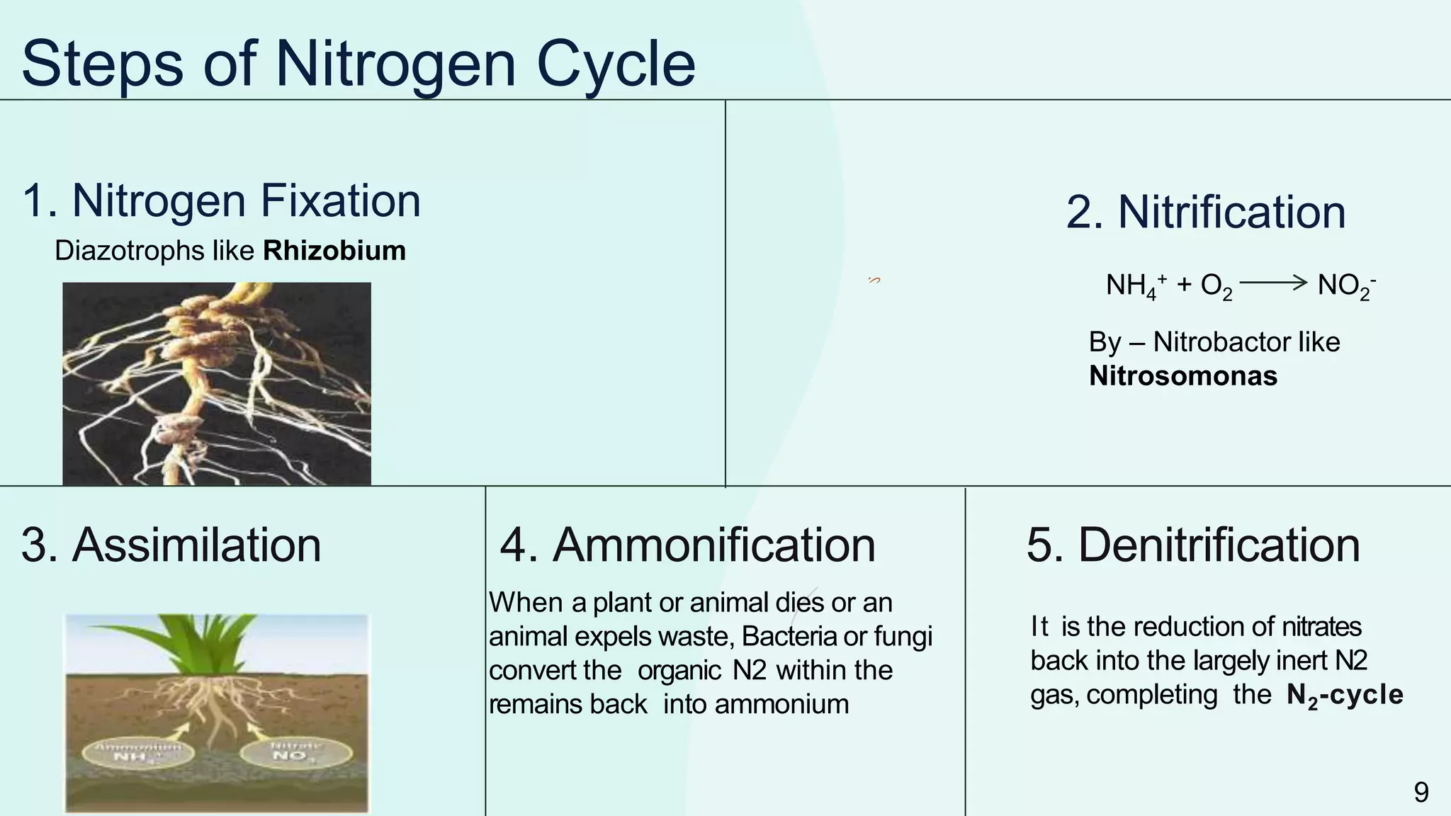 Bio geo-chemical cycles | PPTX