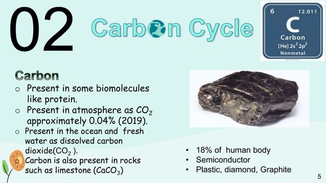 Bio geo-chemical cycles | PPTX