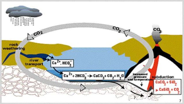 Bio geo-chemical cycles | PPTX