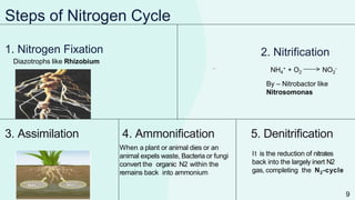 Bio geo-chemical cycles | PPTX