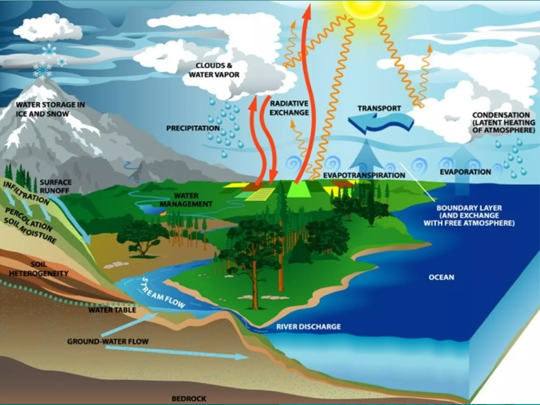 Bio-geochemical Cycles | PPT