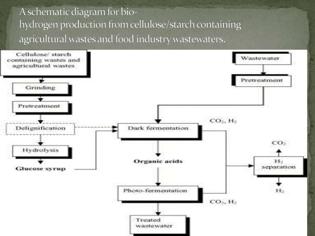 Bio hydrogen production from waste materials | PPTX | Commodities | Economy