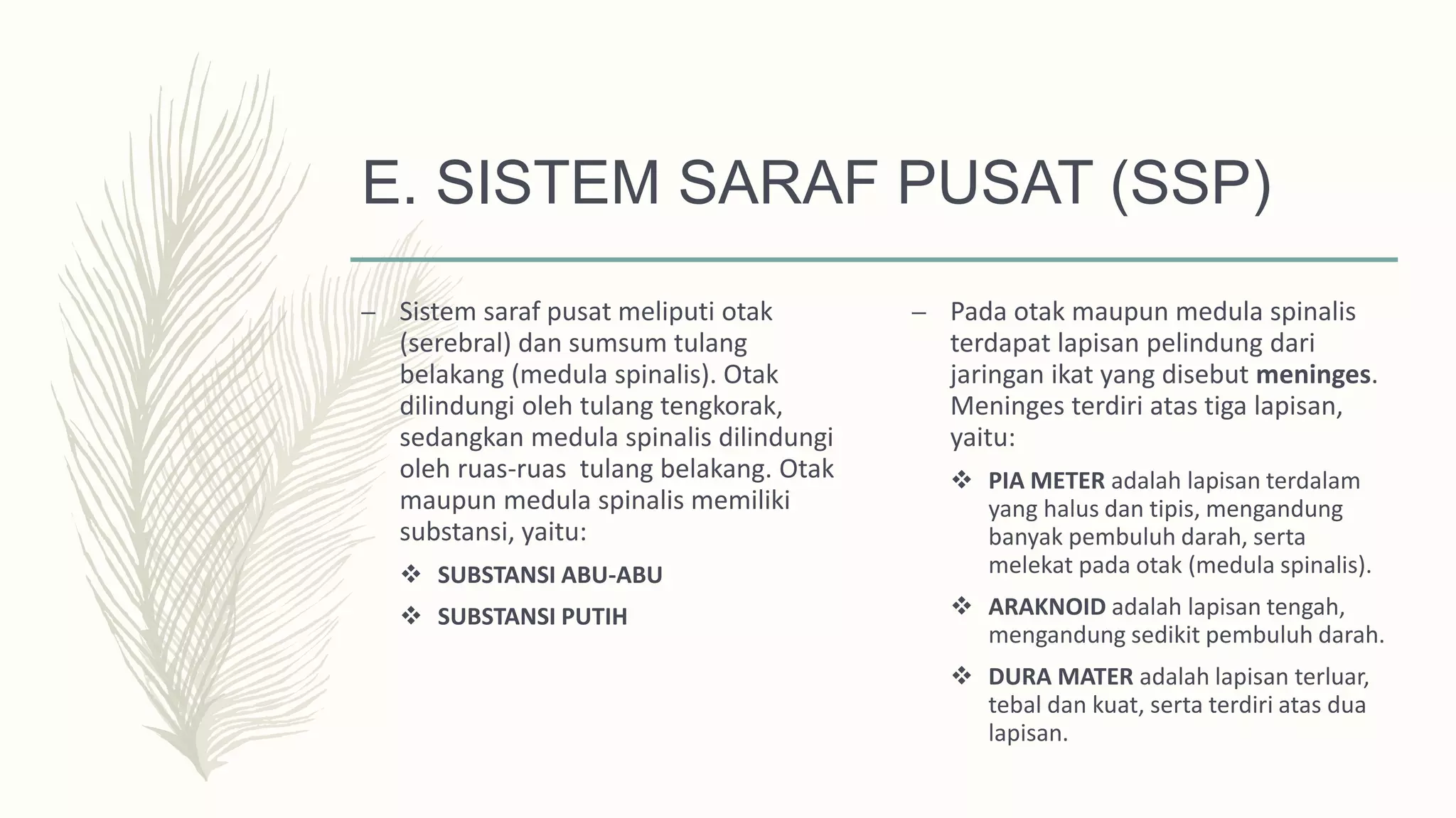 sistem saraf | PPTX